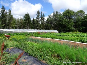 Just A Little Farm: Growing Produce the Natural Way - My Island Bistro ...